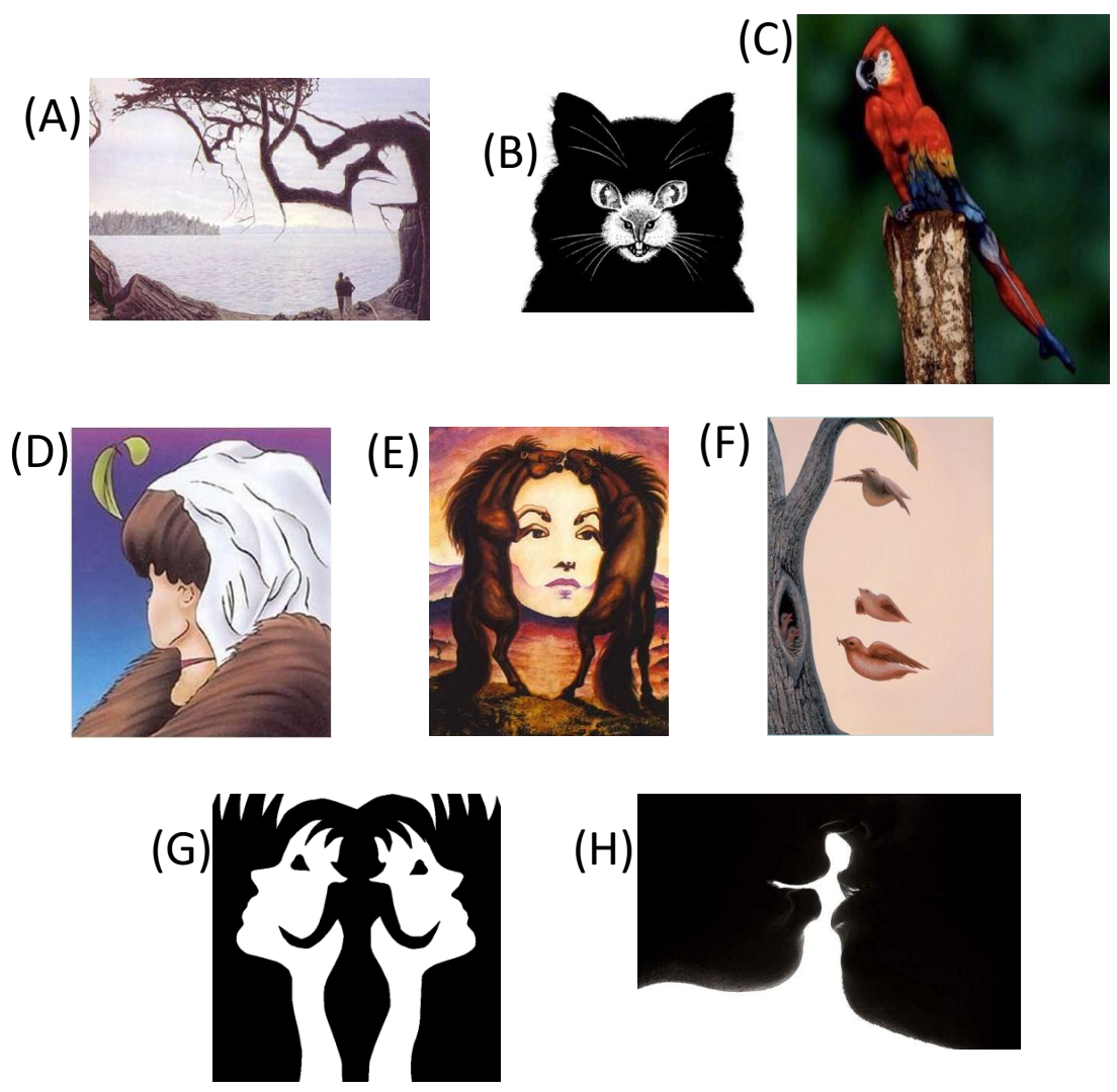 Figuras ambíguas e neurociências: Por que nossa percepção muda diante ...